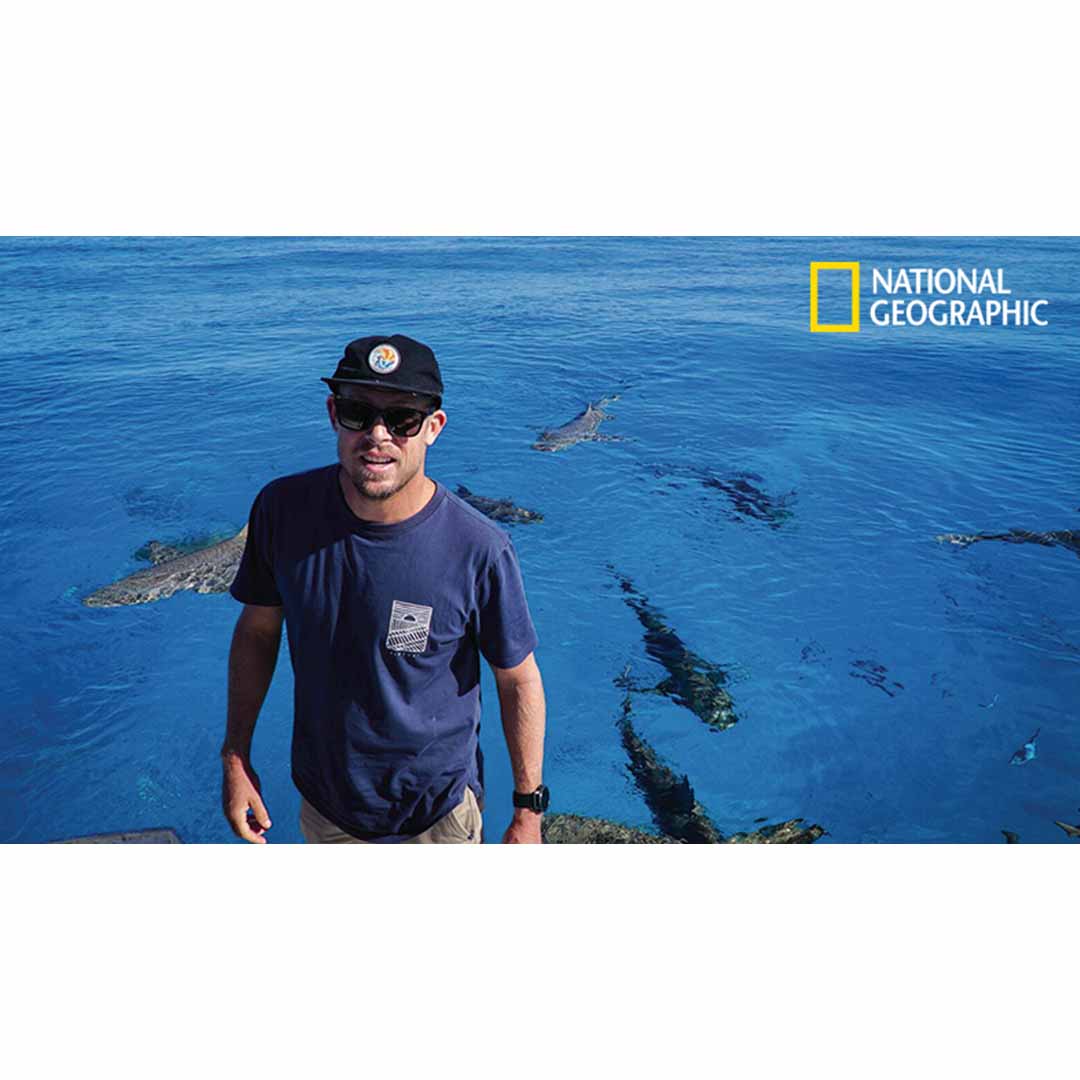 Save This Shark :: Mick Fanning :: National Geographic – Mark Tipple